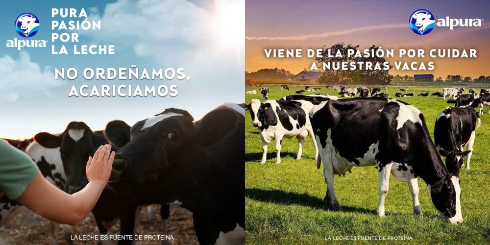 Alpura, la pasión por el engaño – Brigada Animal